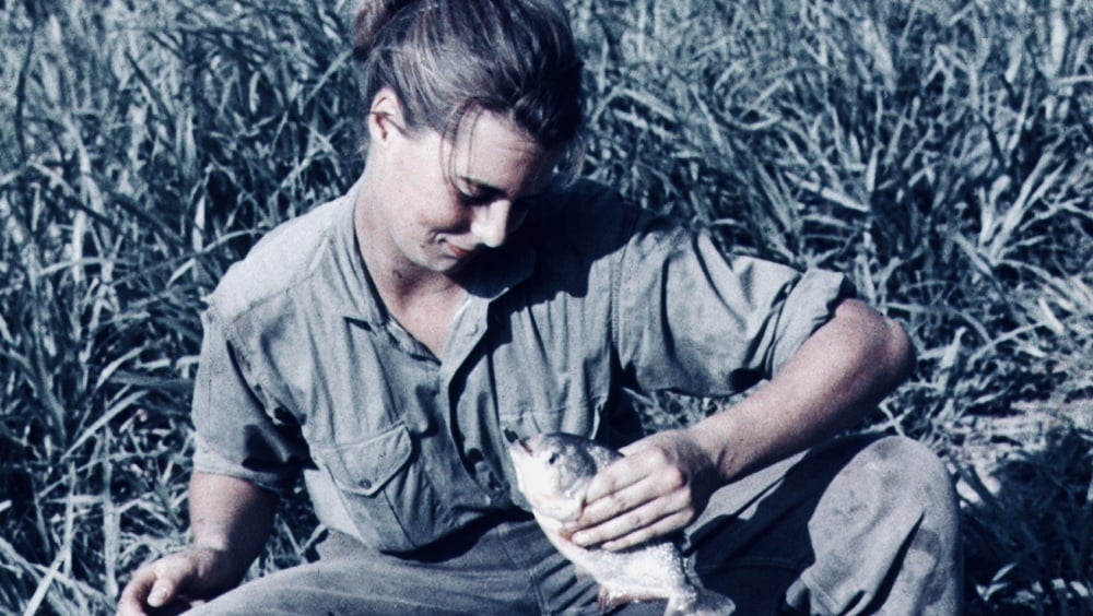 A história da mulher que viajou 11 mil km e matou coronel para vingar ...